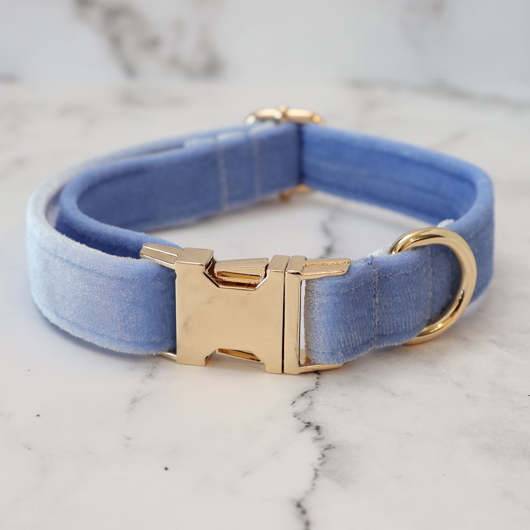 Adjustable Porcelain Blue and Light Gold Luxe Velvet Puppy Kitten ...
