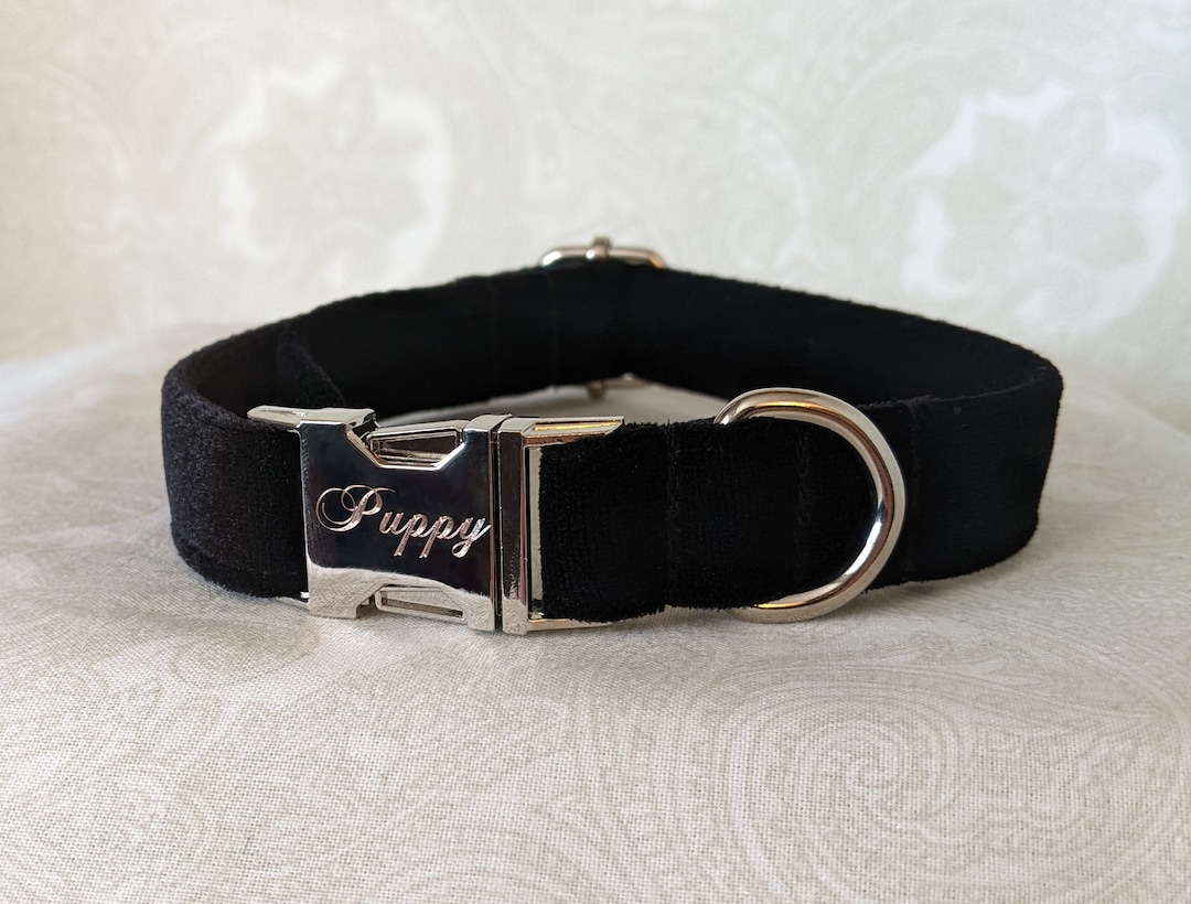 Customizable 3/4" Engraved Luxe Velvet Puppy Kitten Collar | Kittenplay ...