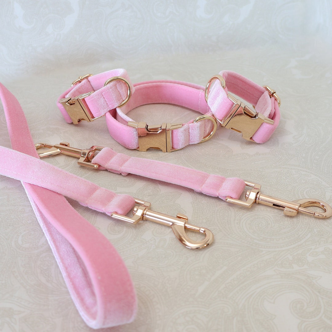 3/4" Light Pink and Gold Luxe Velvet Petplay Set | Kittenplay Puppyplay ...
