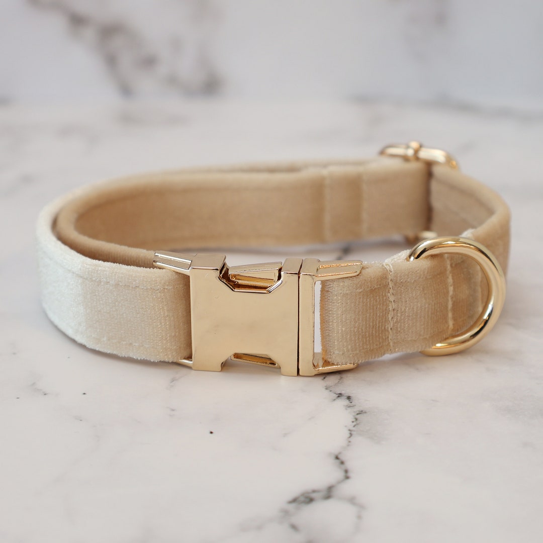 Adjustable Champagne and Gold Luxe Velvet Puppy Kitten Collar ...