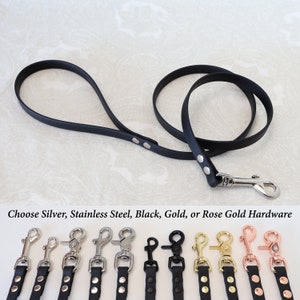 1/2" Biothane Bondage BDSM Leash | Multiple Colors Available - Etsy