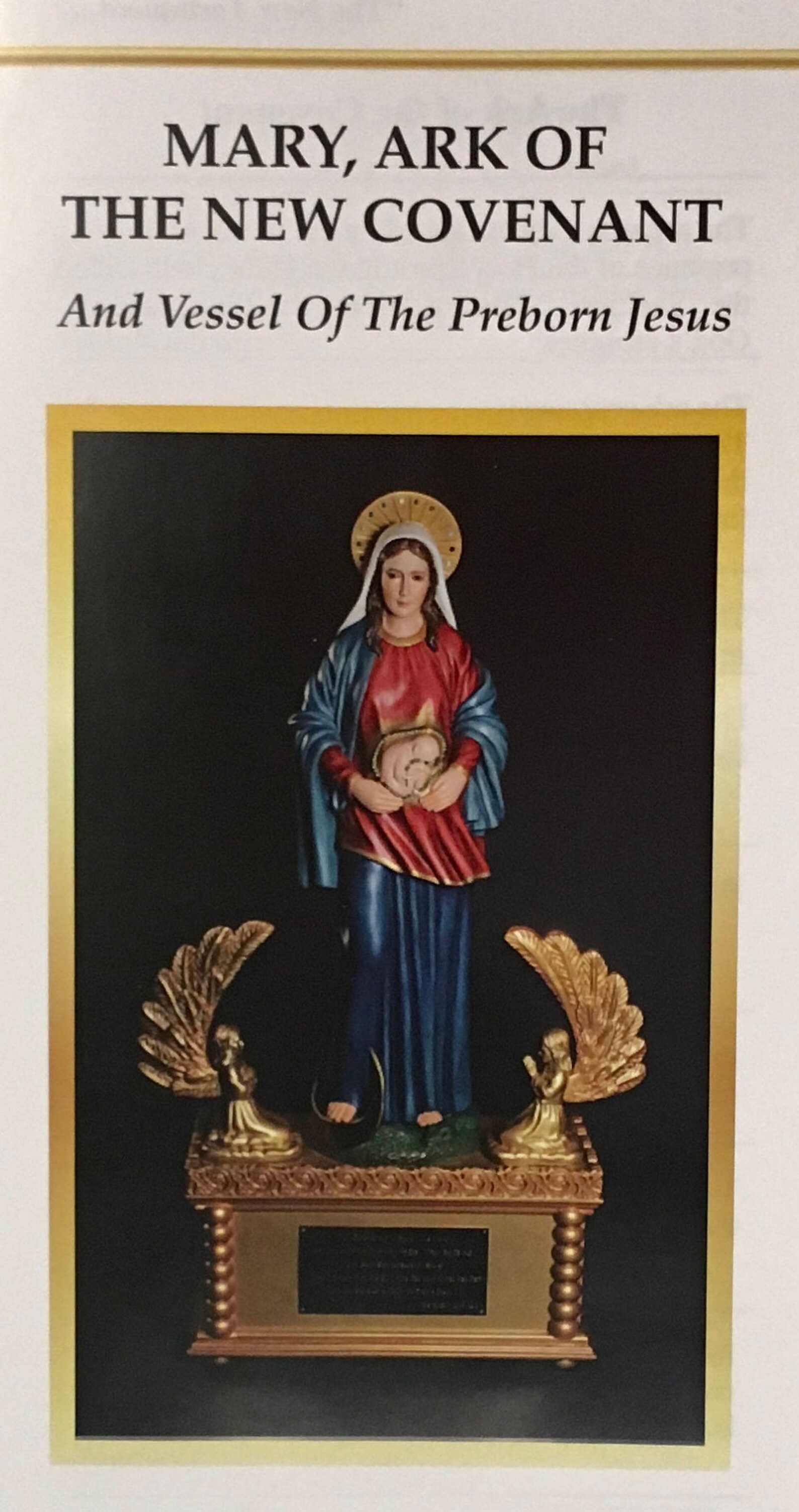 Brochure Mary Ark of the New Covenant//catholic Education - Etsy