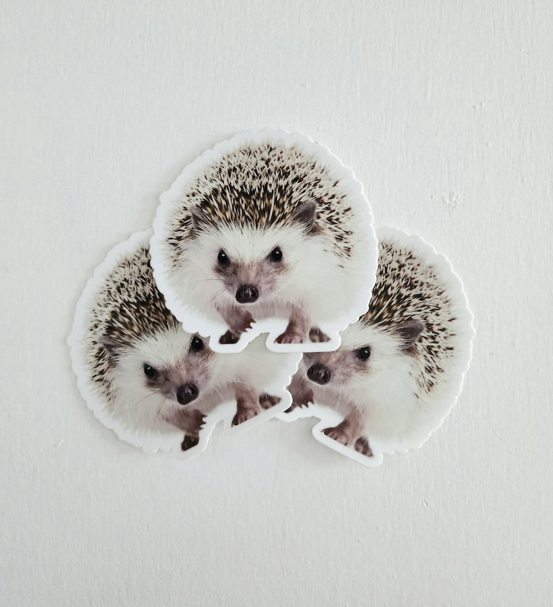 Hedgehog Sticker, Cute Hedgehog Vinyl Decal, Hoglet 3" X 2.95", Funny ...