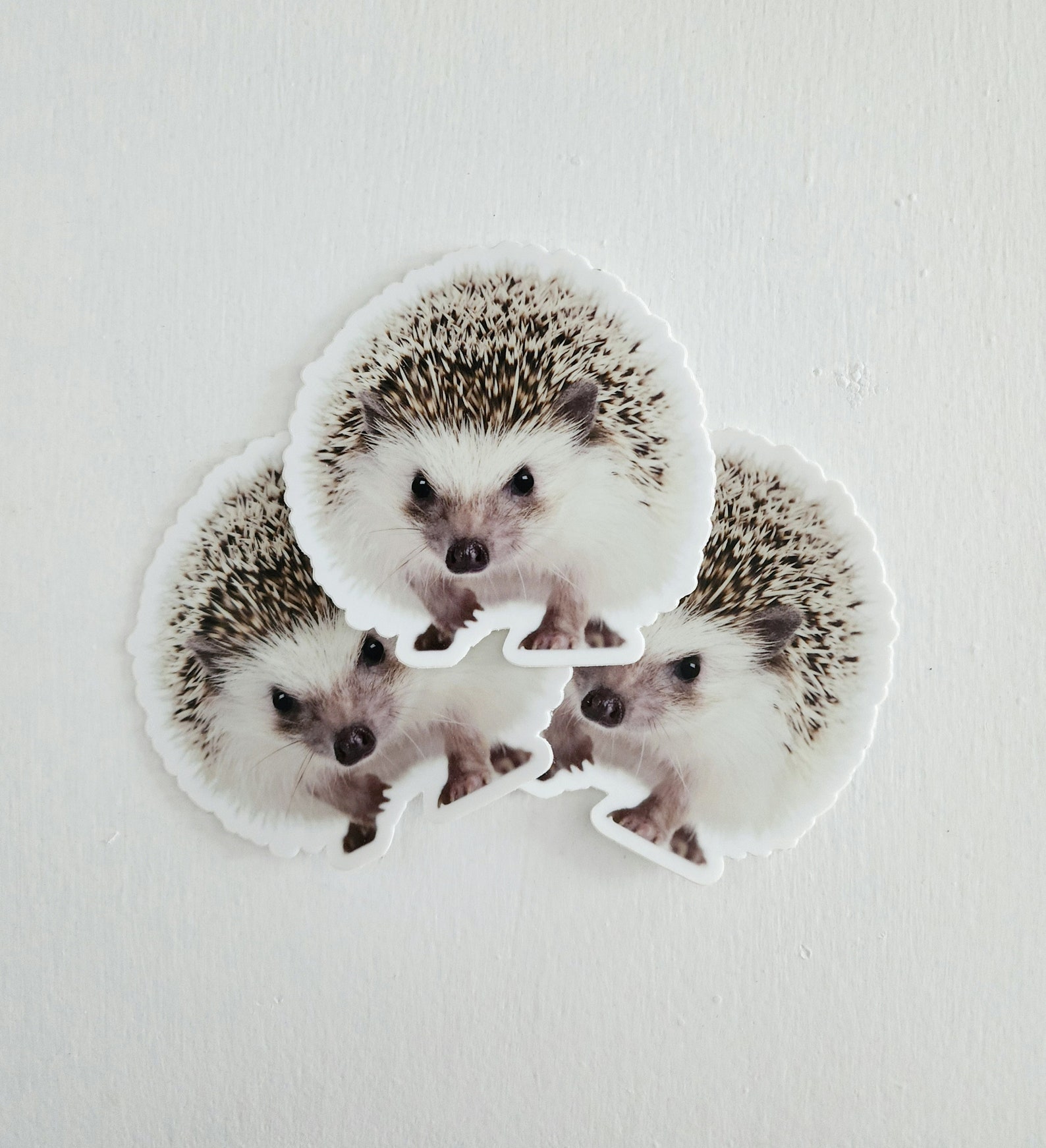 Hedgehog Sticker, Cute Hedgehog Vinyl Decal, Hoglet 3" X 2.95", Funny ...