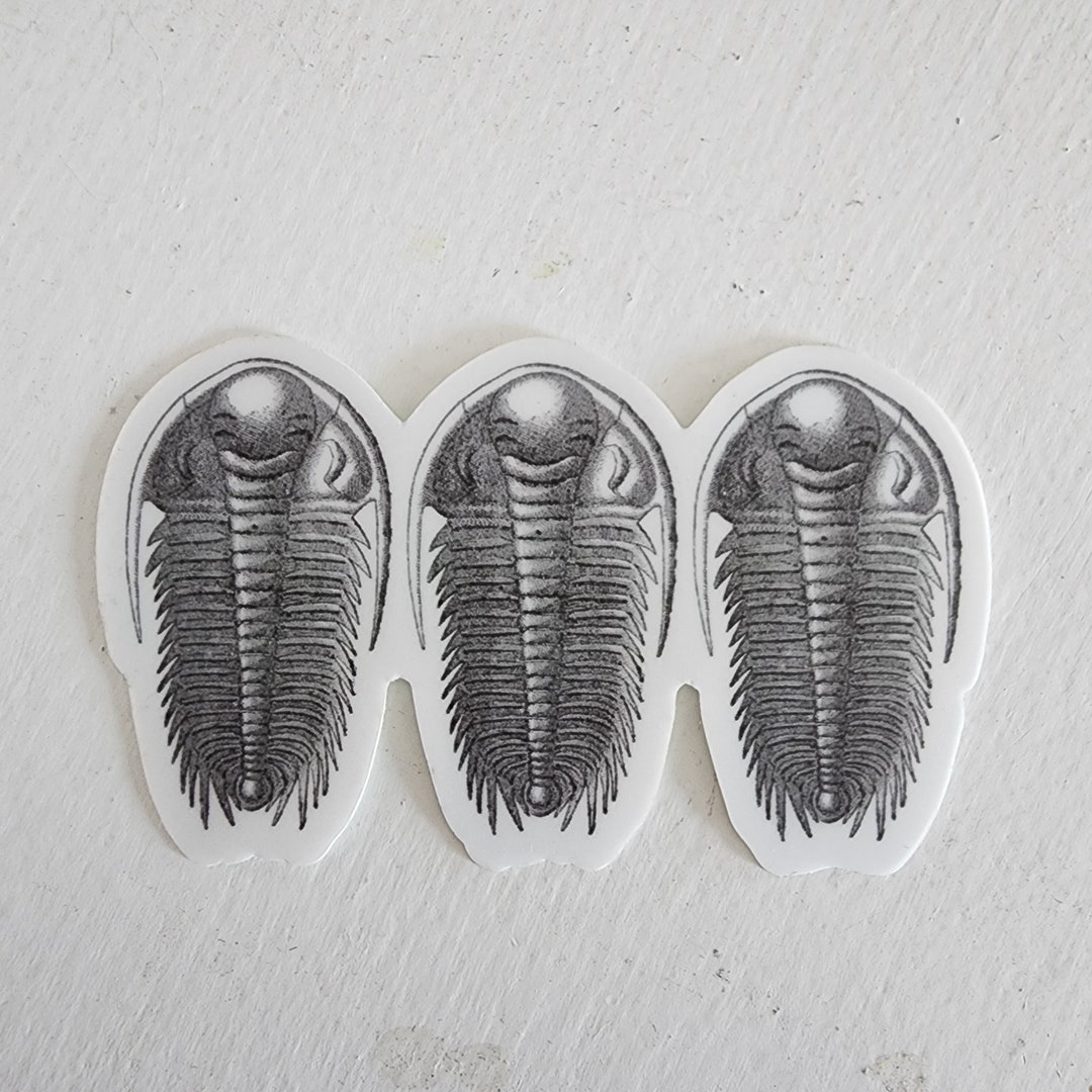 Trilobite Sticker, Trilobites Vinyl Decal, Geology Gift, Geologist ...