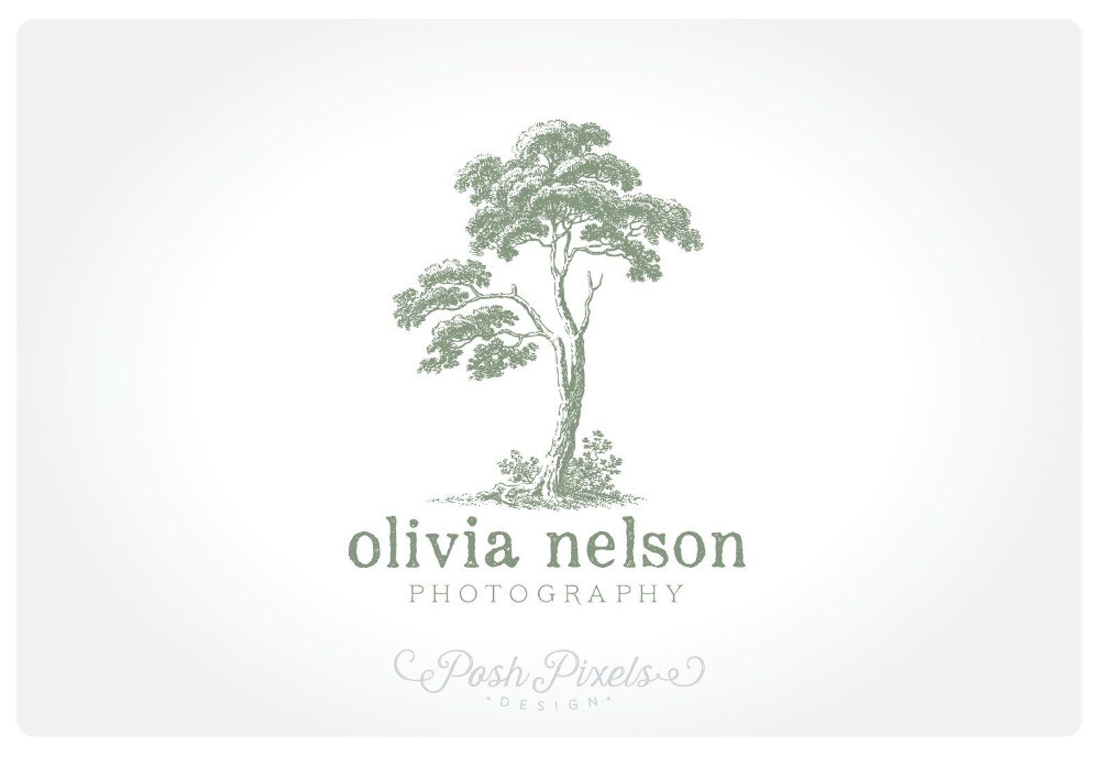 Tree Logo Photography Logo Watermarks Business Branding | Etsy