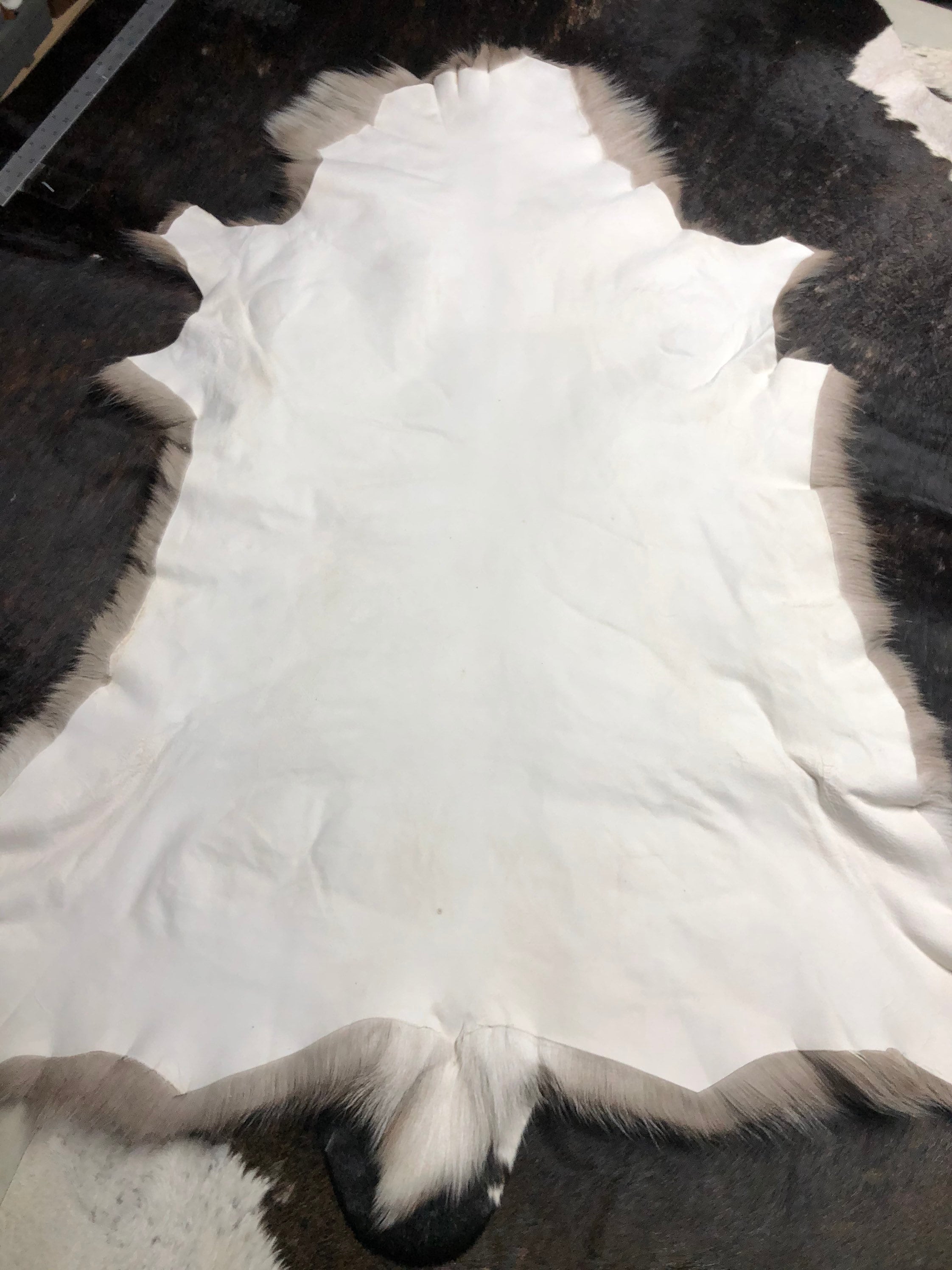 Caribou hide Rug 51 x 31 inches | Etsy