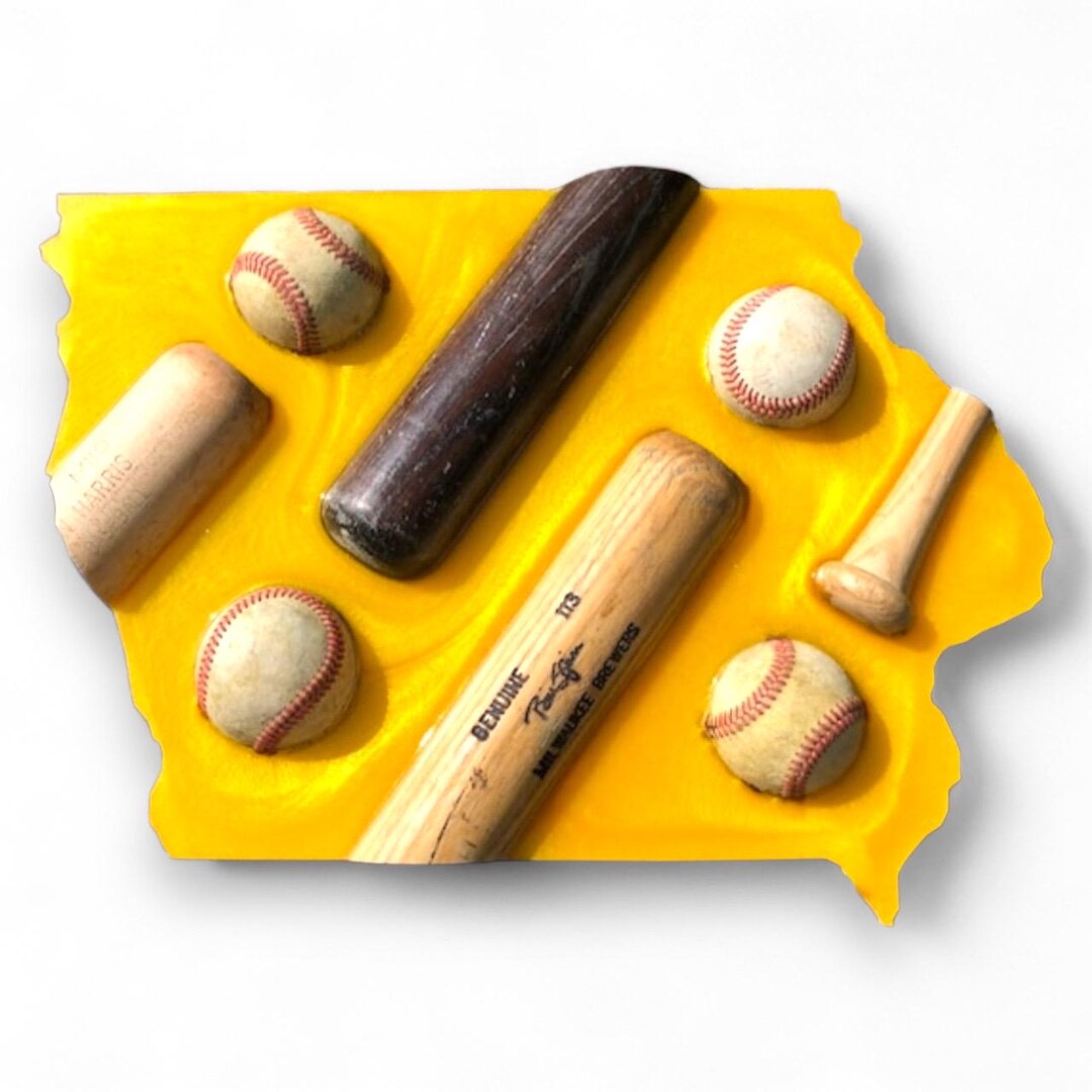 Iowa Baseball Bat Wall Art | Upcycled Baseball Bats | Custom Epoxy ...