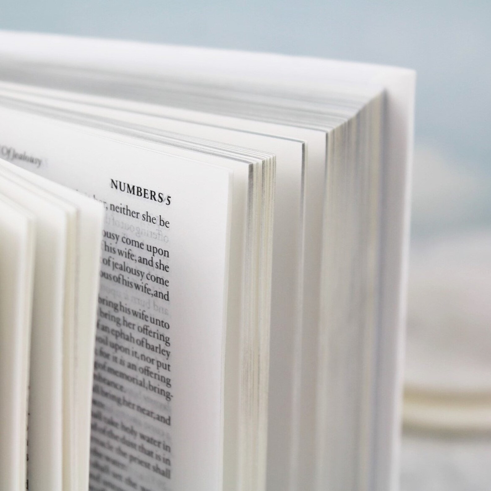 White Leather Bible Cover & KJV Bible or Christening Bible | Etsy UK