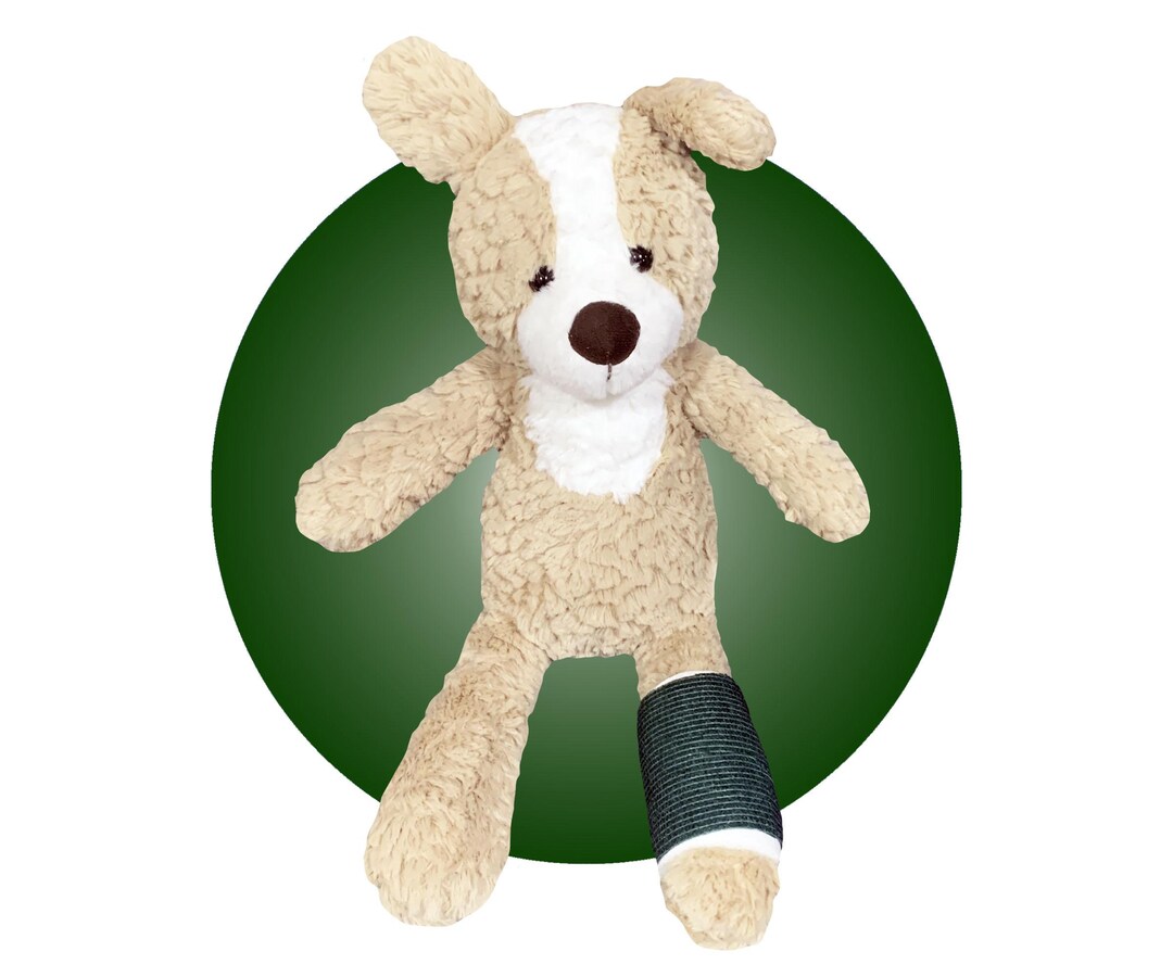 Broken Arm Gift for Kids Puppy Dog With Cast Broken Leg Gift Get Well ...
