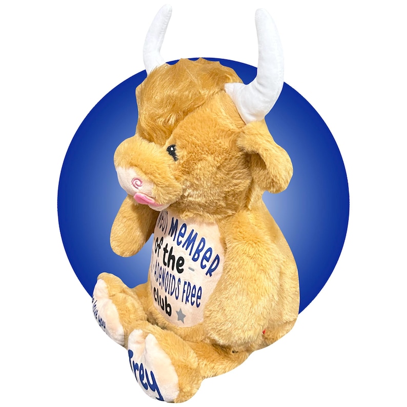 Tonsil + Adenoids Surgery Gift - Personalized 17" Highland Cow - Get ...
