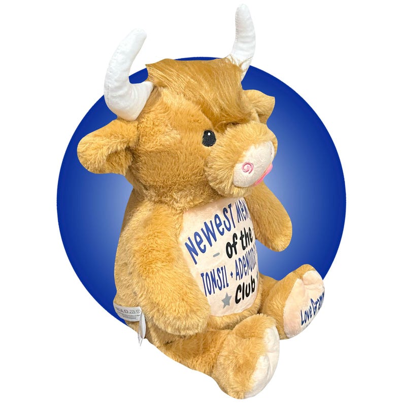 Tonsil + Adenoids Surgery Gift - Personalized 17" Highland Cow - Get ...