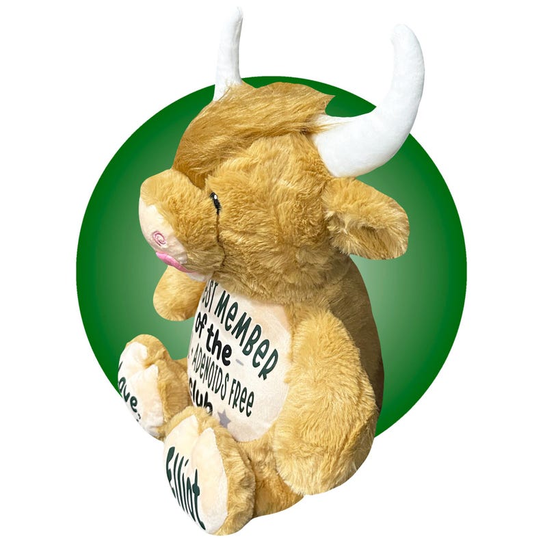 Tonsil + Adenoids Surgery Gift - Personalized 17" Highland Cow - Get ...