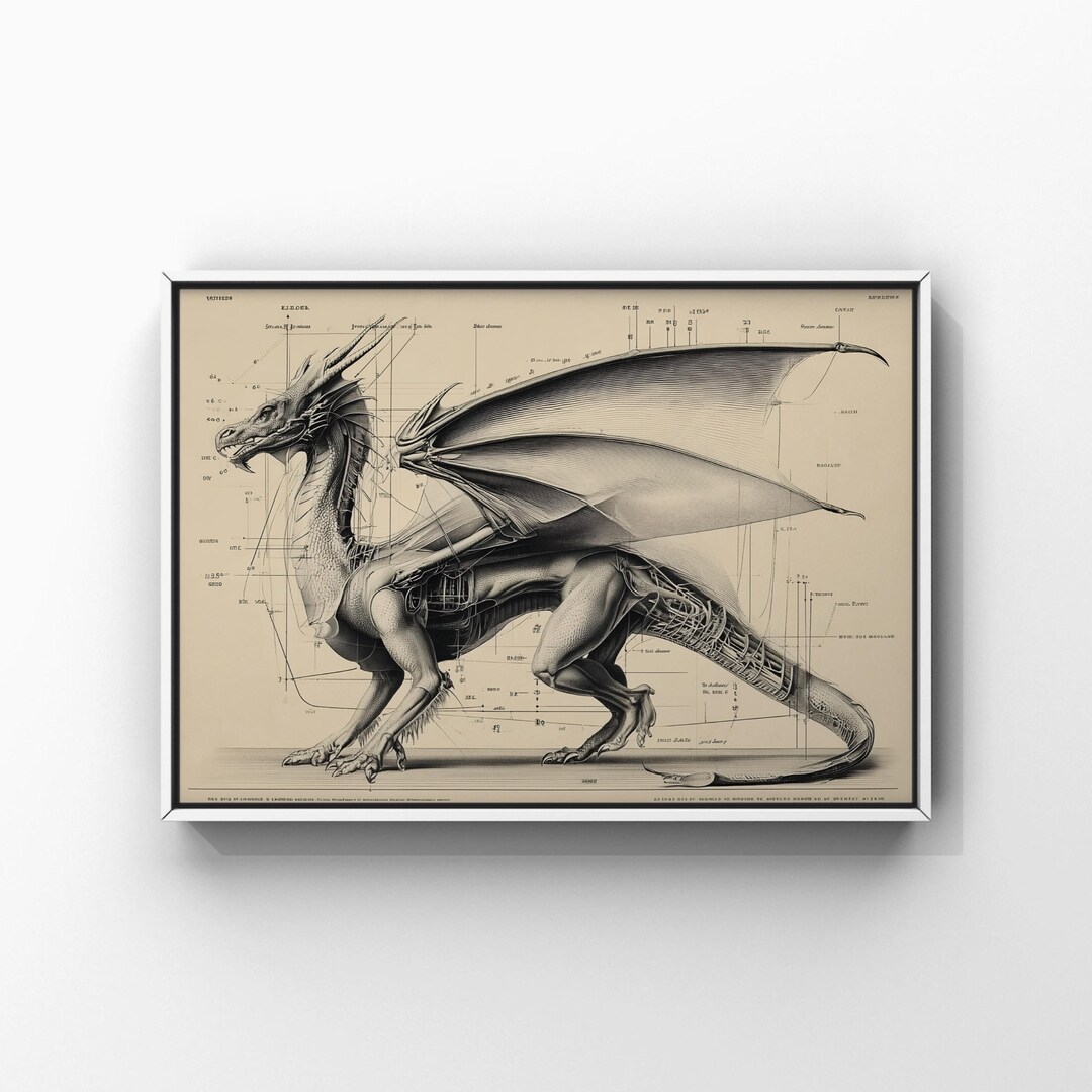 Dragon Anatomy Art Print – Fantasy Blueprint (digital Download) - Etsy