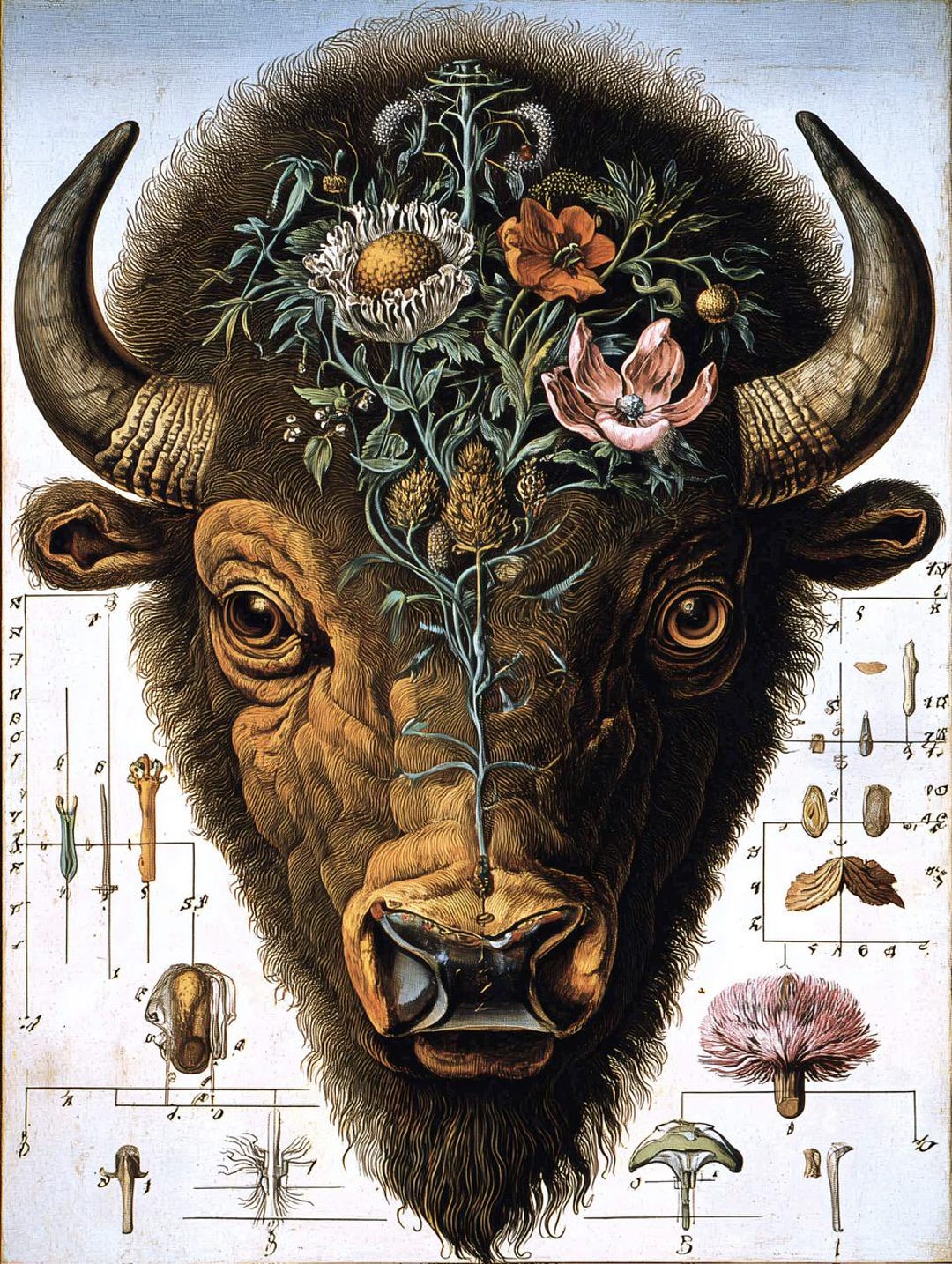 Floral Bison Portrait Poster, Vintage Botanical Wall Art - Etsy