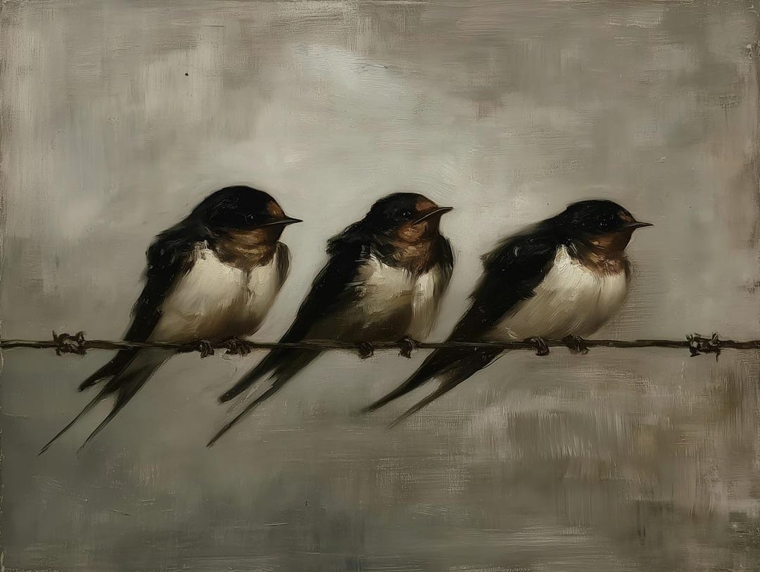 Three Swallows on a Wire , Posters, Poster Print, Wall Art Decor ...