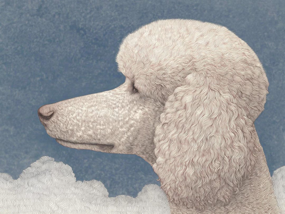 Elegant Poodle Portrait , Digital Download, Printable Poster, Wall Art ...
