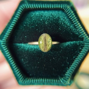 Hair Keepsake Ring | Pet Hair Ring | Lock of Hair Keepsake | Hair ...