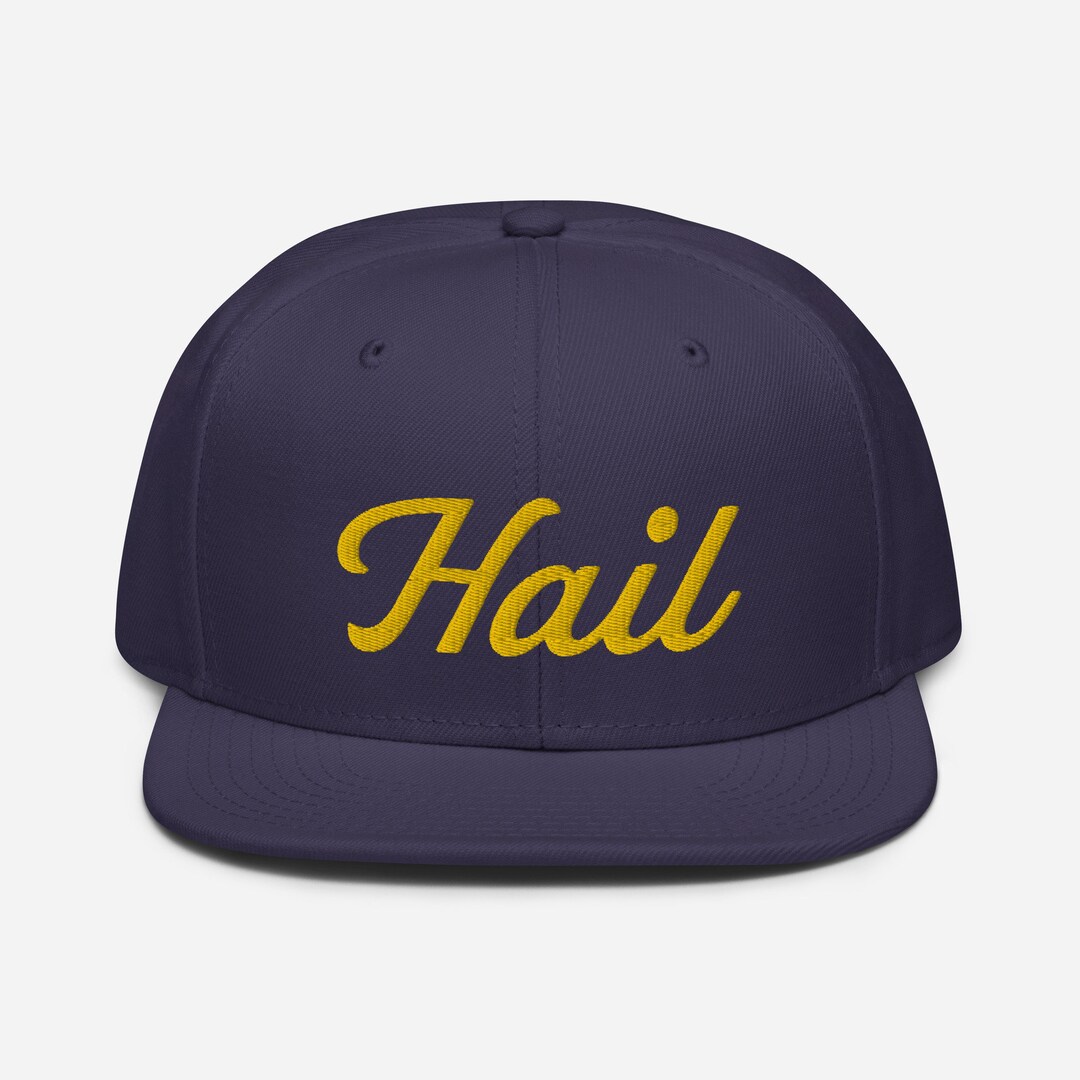 Michigan hail Snapback Hat - Etsy