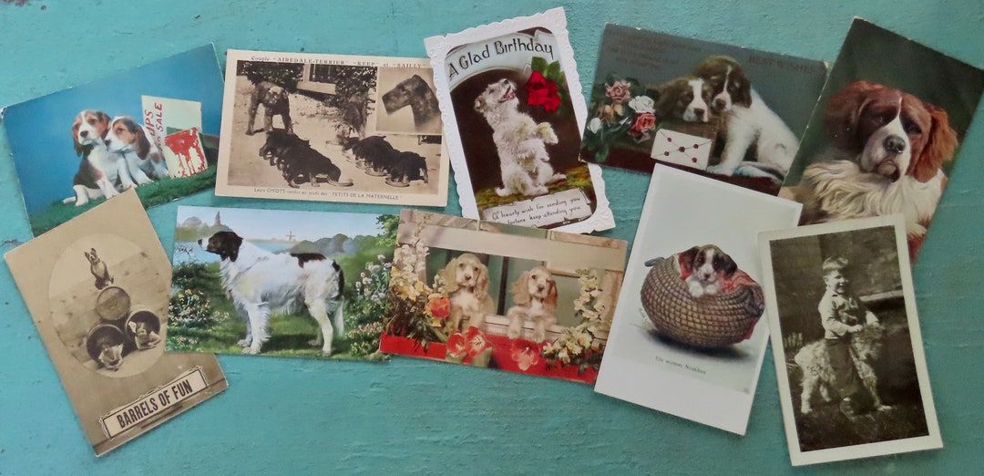 Vintage Dog Postcards - Etsy