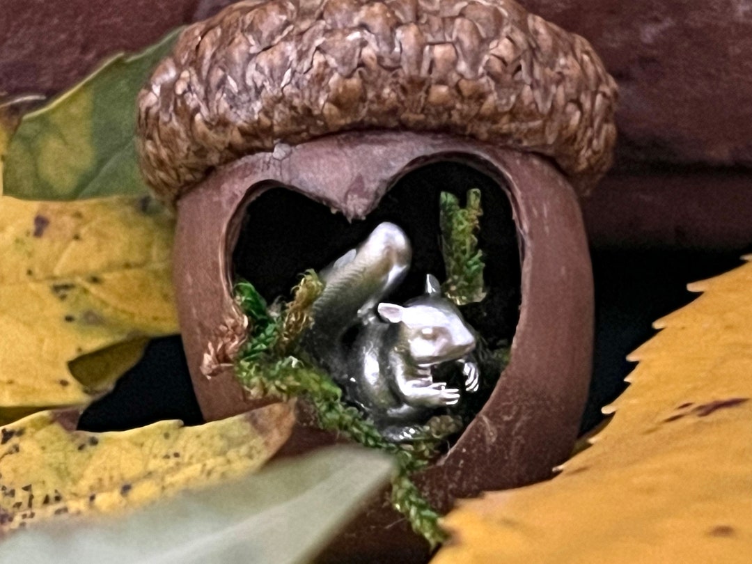 Real Acorn Squirrel House Necklace, Mini Acorn House for Cars Rear View ...