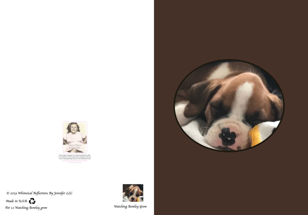 This Card is for All the Dog Lovers Out There. Share This With Someone ...