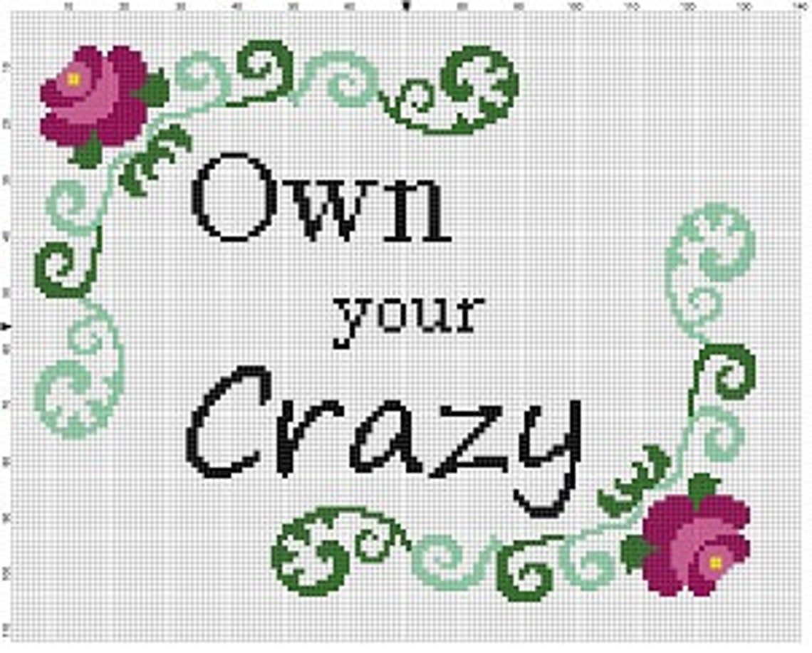 Own Your Crazy - Funny Cross Stitch Pattern - Instant Download - Etsy