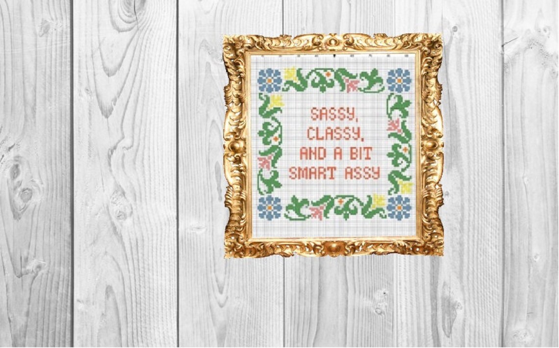 Sassy, Classy and a Bit Smart Assy - Cross Stitch Pattern - Instant ...