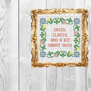 Sassy, Classy and a Bit Smart Assy - Cross Stitch Pattern - Instant ...