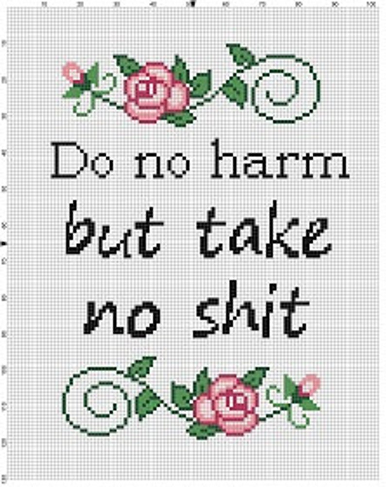 Do No Harm but Take No Sht Nurse Hospital Nursing Funny - Etsy Canada