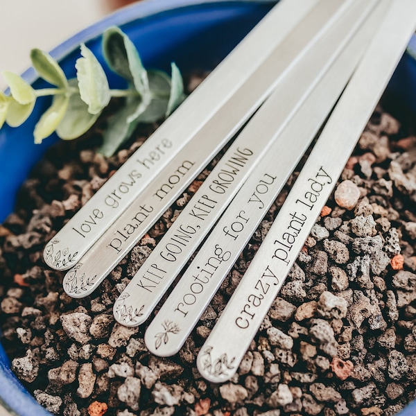 Funny Garden Signs - Etsy