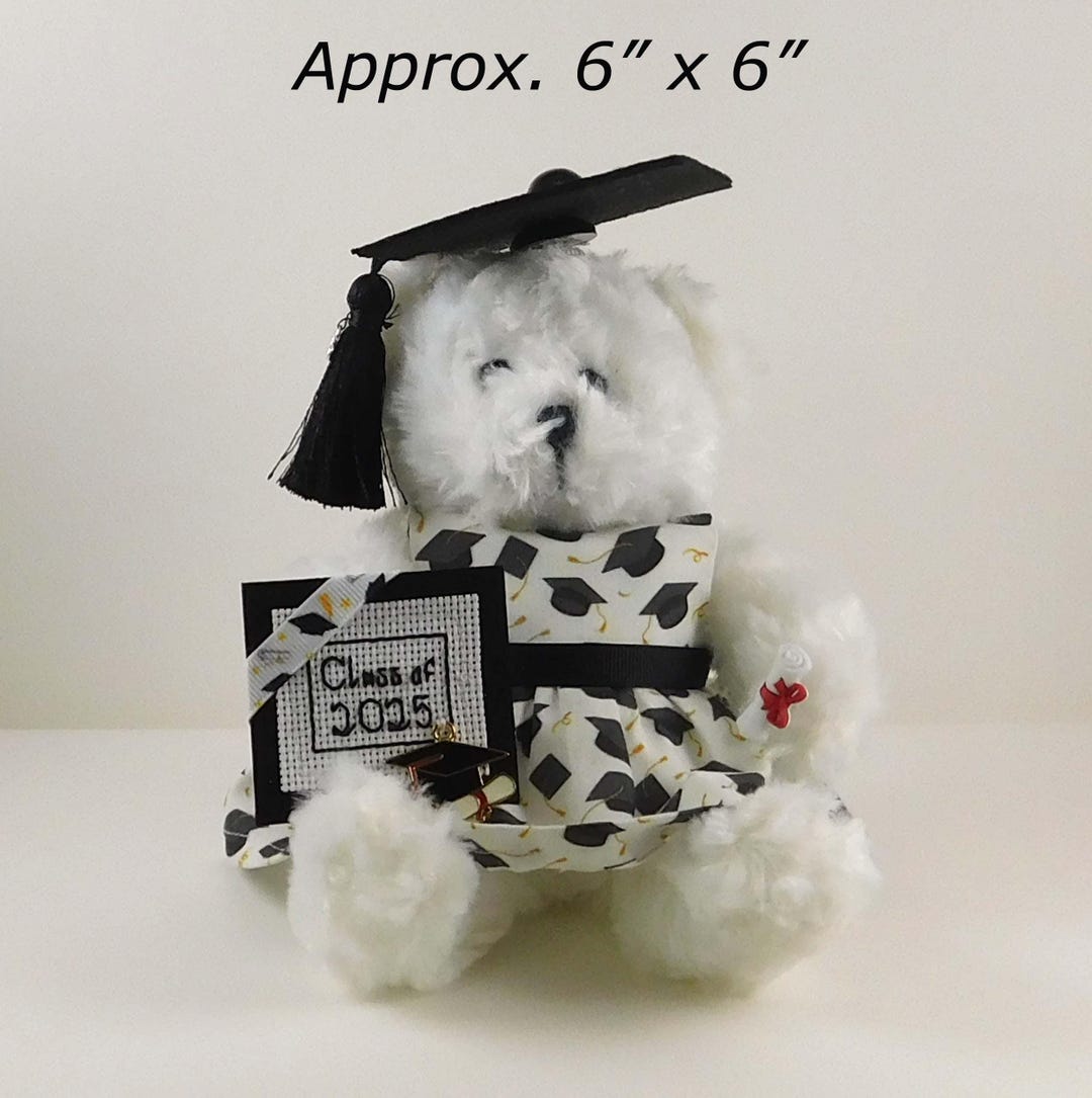 Graduation Teddy Bear Gift or Decor, Graduation Girl Bear, Gift for Her ...