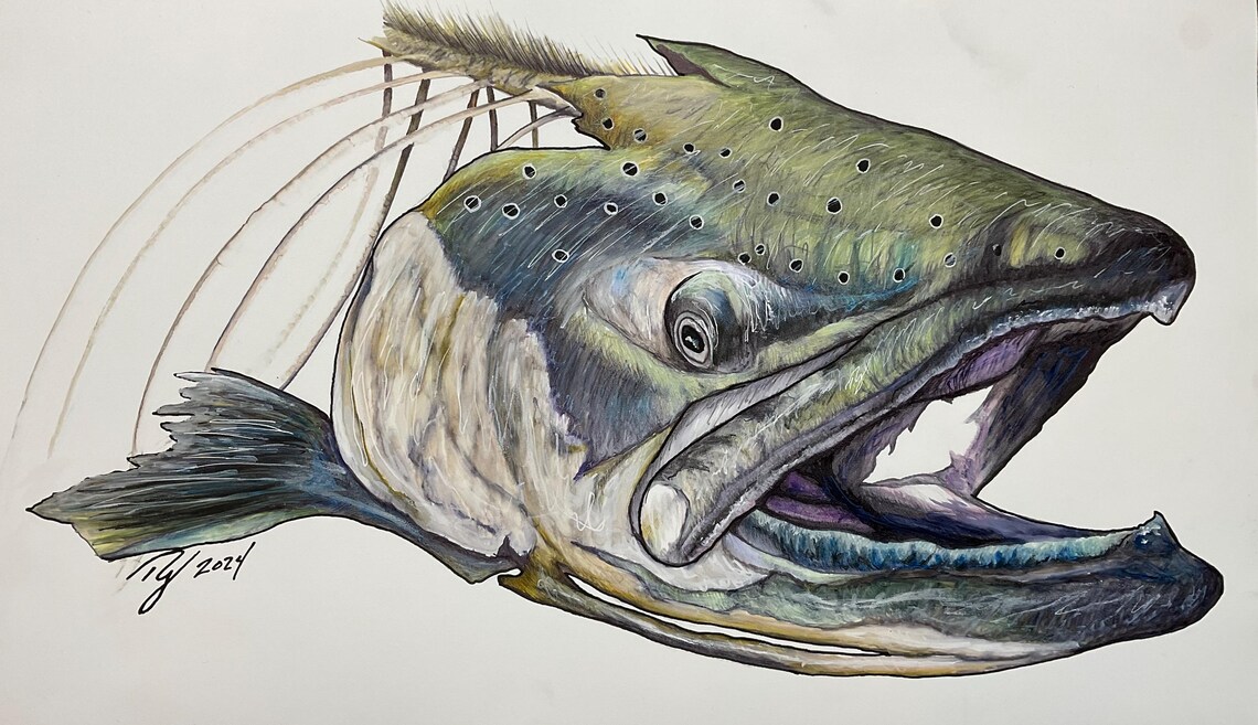 Coho Salmon Bones - Etsy