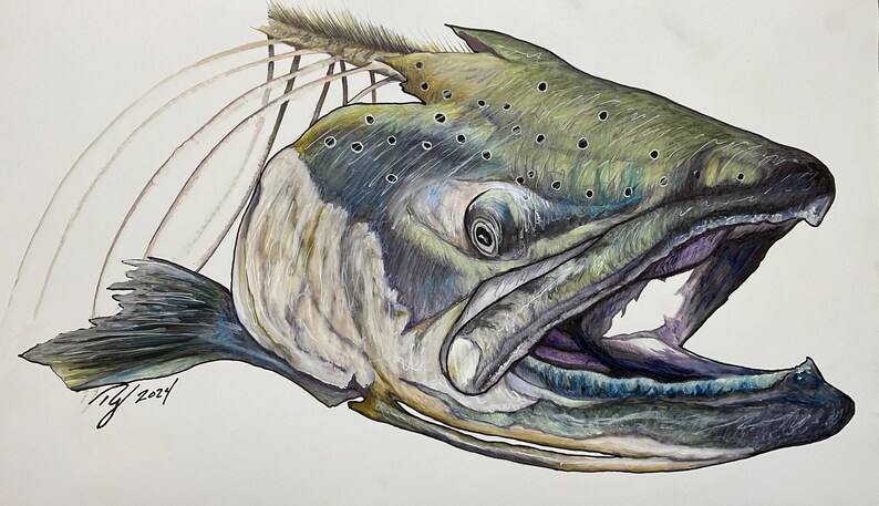 Coho Salmon Bones - Etsy