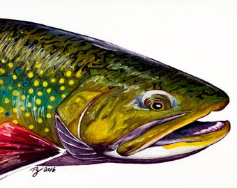 Brook Trout Stonefly Sticker Decal Designed by Evan Makuvek - Etsy