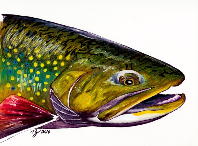 Brook Trout Sticker - Etsy