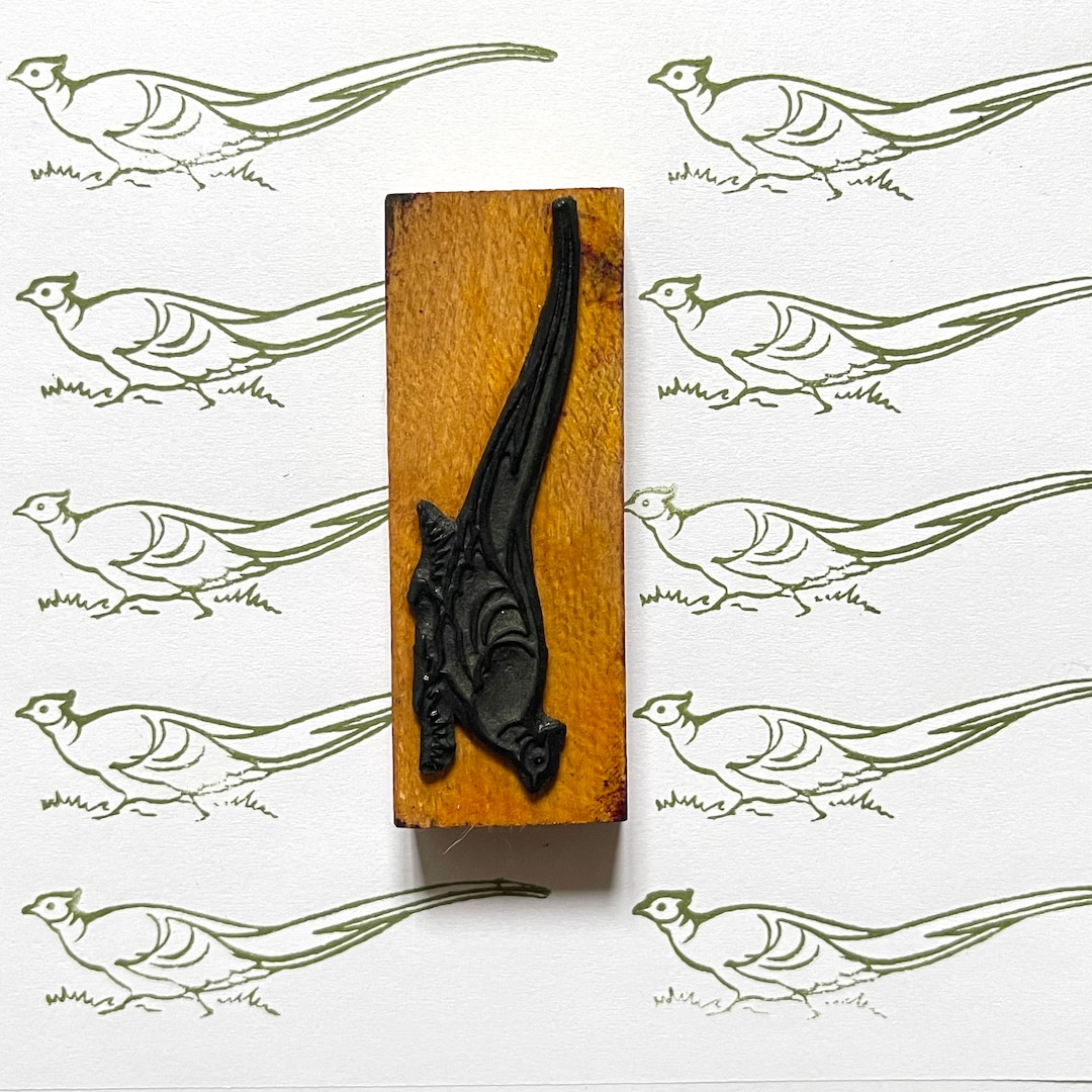 French Vintage School Stamp Pheasant - Etsy
