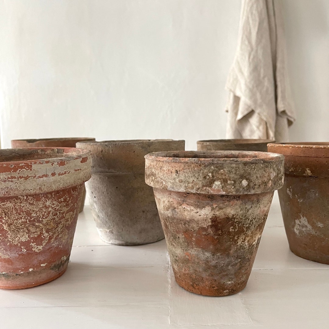 Large French Vintage Terracotta Plant Pot - Etsy