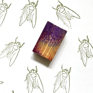 French Vintage School Stamp Fly, Wasp, Insect - Etsy