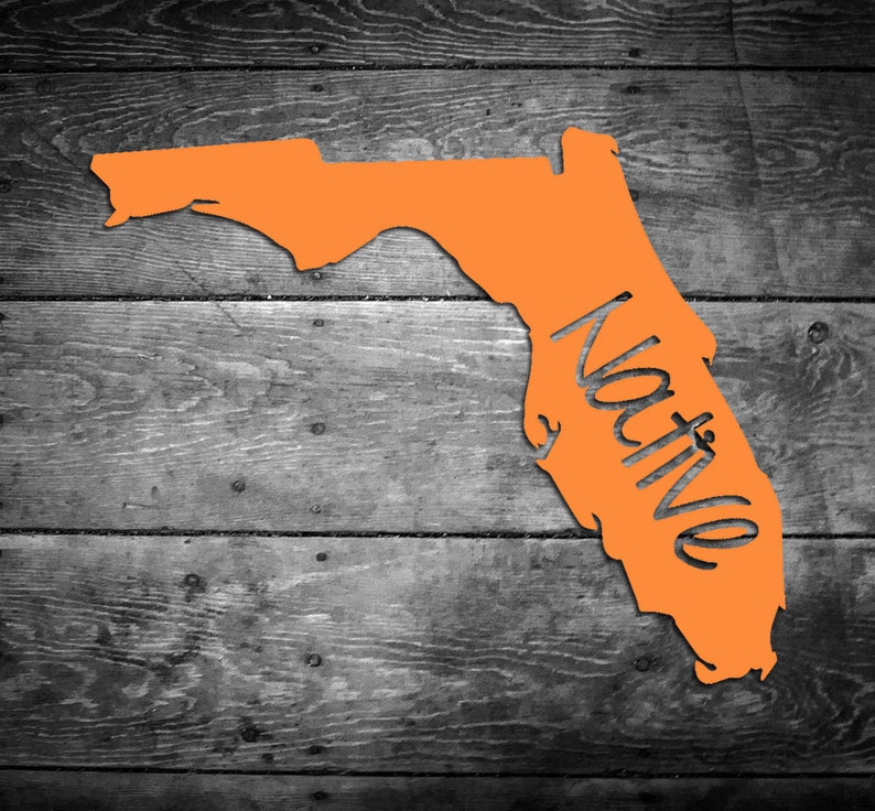 Florida Native Vinyl Sticker Car Window Door Bumper Decal Pride Home FL ...