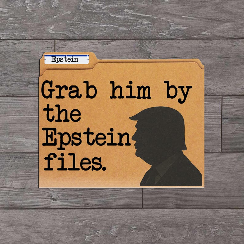 Grab Him by the Files, Epstein File, Funny, Die Cut Sticker - Etsy