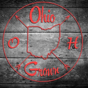 Ohio Grown Vinyl Sticker Car Window Door Bumper Decal Pride Home OH - Etsy