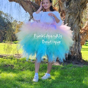 Pastel Rainbow Tulle Tutu Skirt: Layered Adult Costume - Etsy