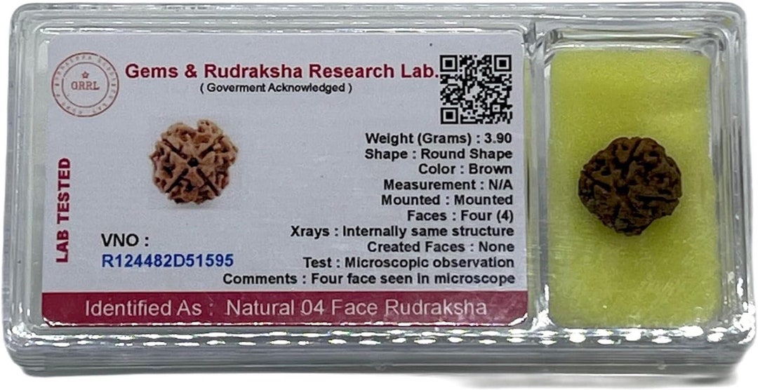 Certified 4 Mukhi Rudraksha 4 Four Face Rudraksh Bead, Nepal, Stress ...