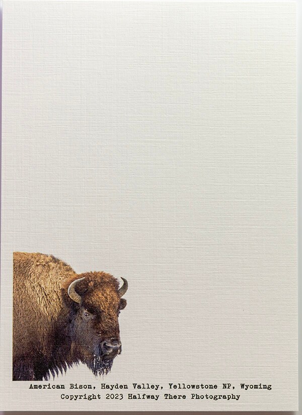 American Bison Note Cards, Yellowstone National Park - Etsy