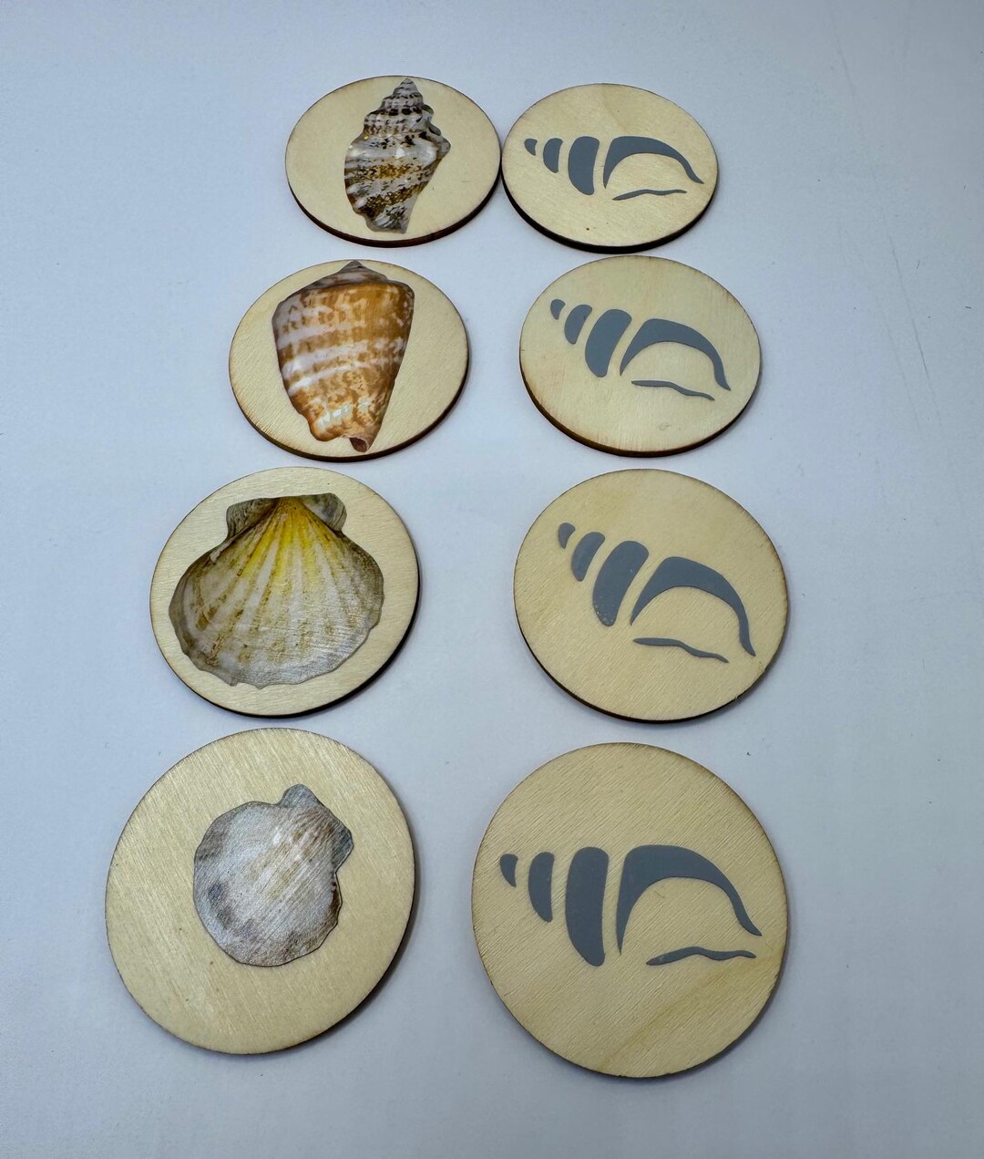 Montessori Shell Matching & Memory Game Lesson/activity - Etsy
