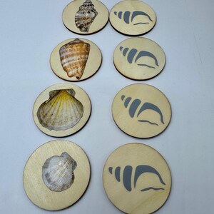 Montessori Shell Matching & Memory Game Lesson/activity - Etsy