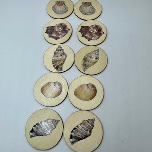 Montessori Shell Matching & Memory Game Lesson/activity - Etsy