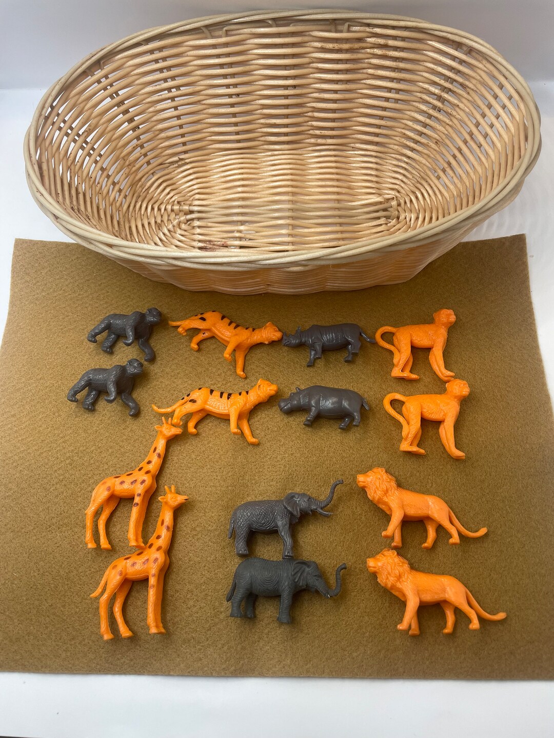 Montessori Wild Animal Matching Lesson/activity - Etsy