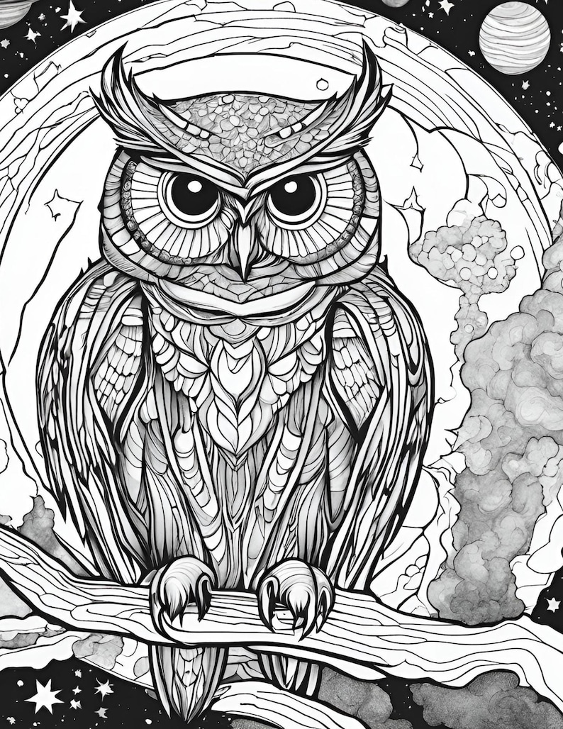 2 Printable Adult Owl Coloring Pages 8.5 X 11 Each in PDF and PNG Files ...